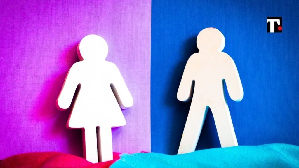Teoria del gender, spiegazione semplice: cos'è e cosa significa - True ... Teoria del gender, spiegazione semplice: cos'è e cosa significa - True ...